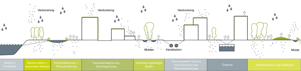 Projects - Cityförster